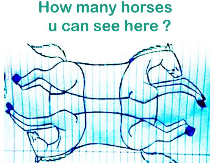 How Many Horses Are There? Find Out the Surprising Answer Behind the ...