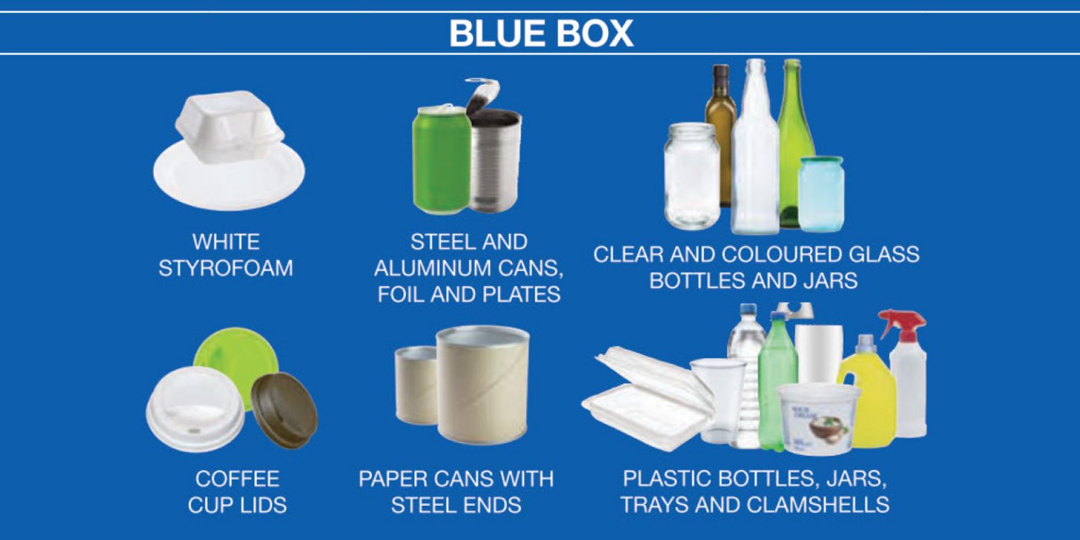 Recycling 101: What Really Belongs in the Blue Bin?