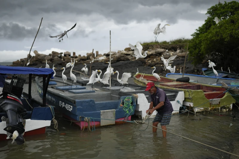 Home MIRACLE: Young Girl Found After Floating on a Mattress for 3 Hours ...