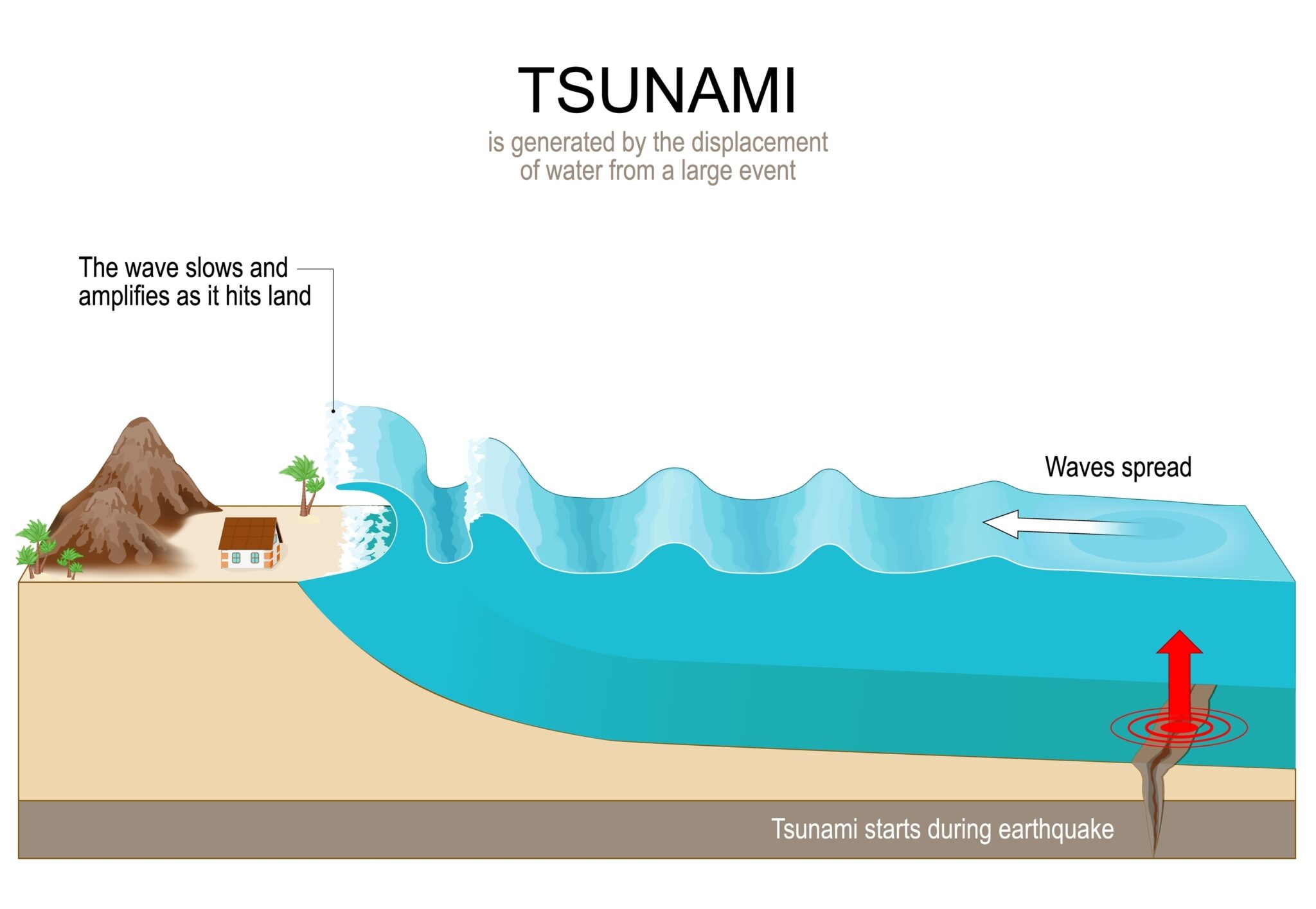 Experts warn: Three U.S. regions at risk of possible ‘mega-tsunami ...