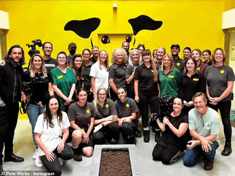 Pete Wicks Slammed for Saying He ‘Prefers Dogs to People’ – Breaks Down ...
