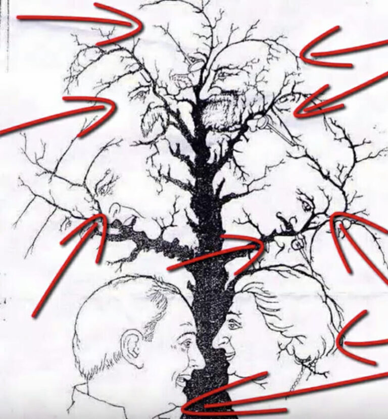 Only a few people can find all the faces hidden in this tree – are you ...